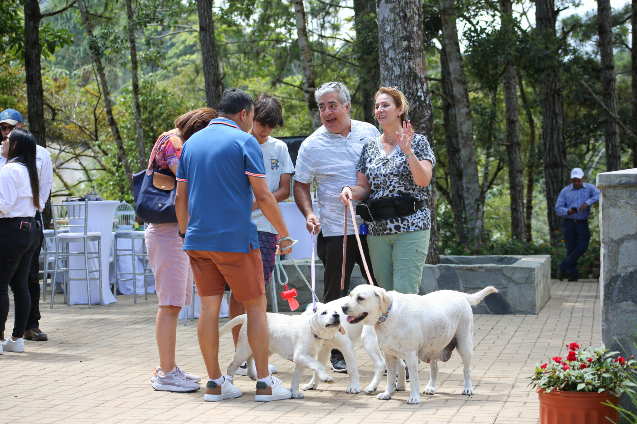 Altos del Maria: Luxury Homes and Mountain Properties in Panama