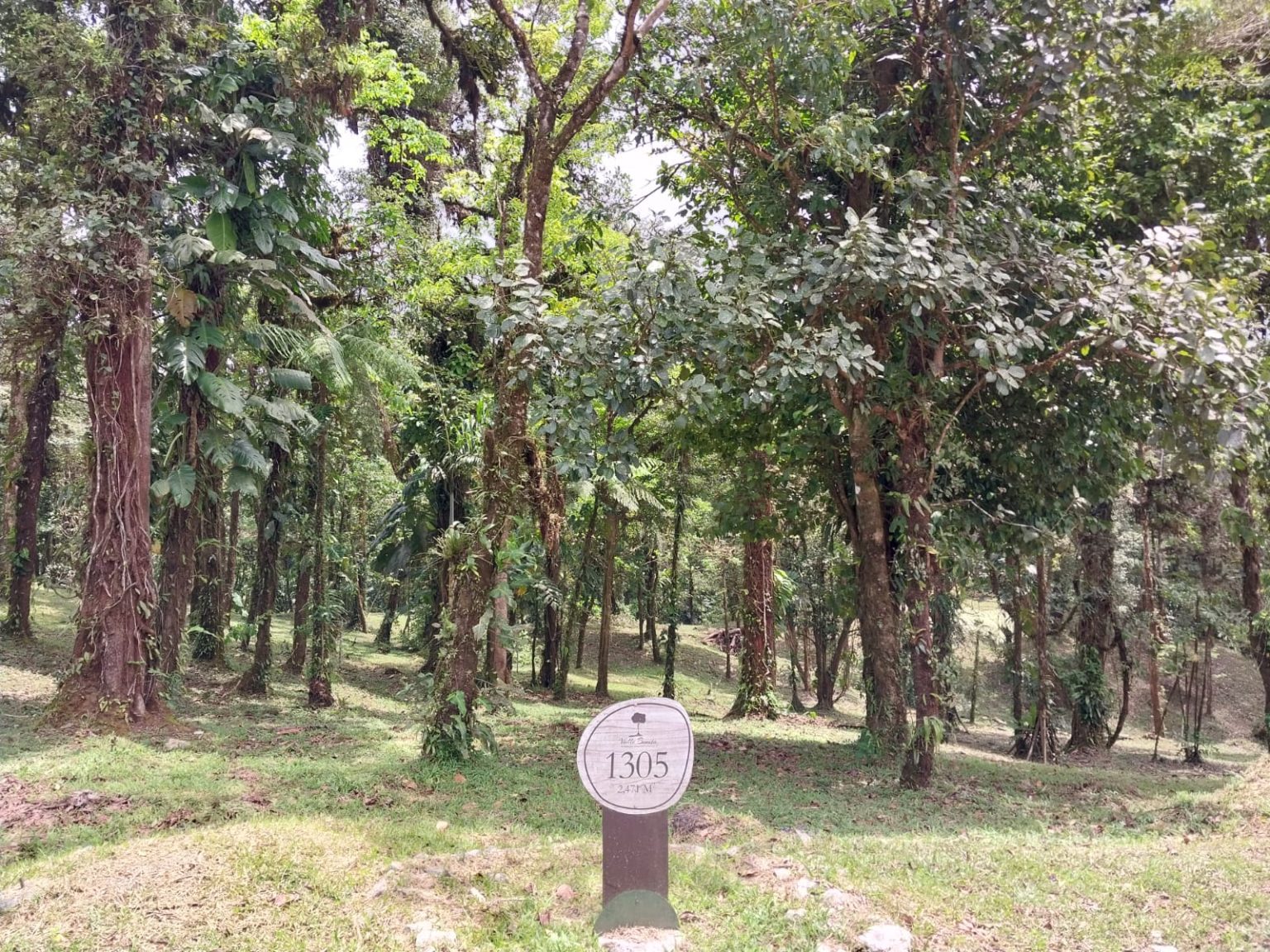 PROPIEDADES - Altos del maria