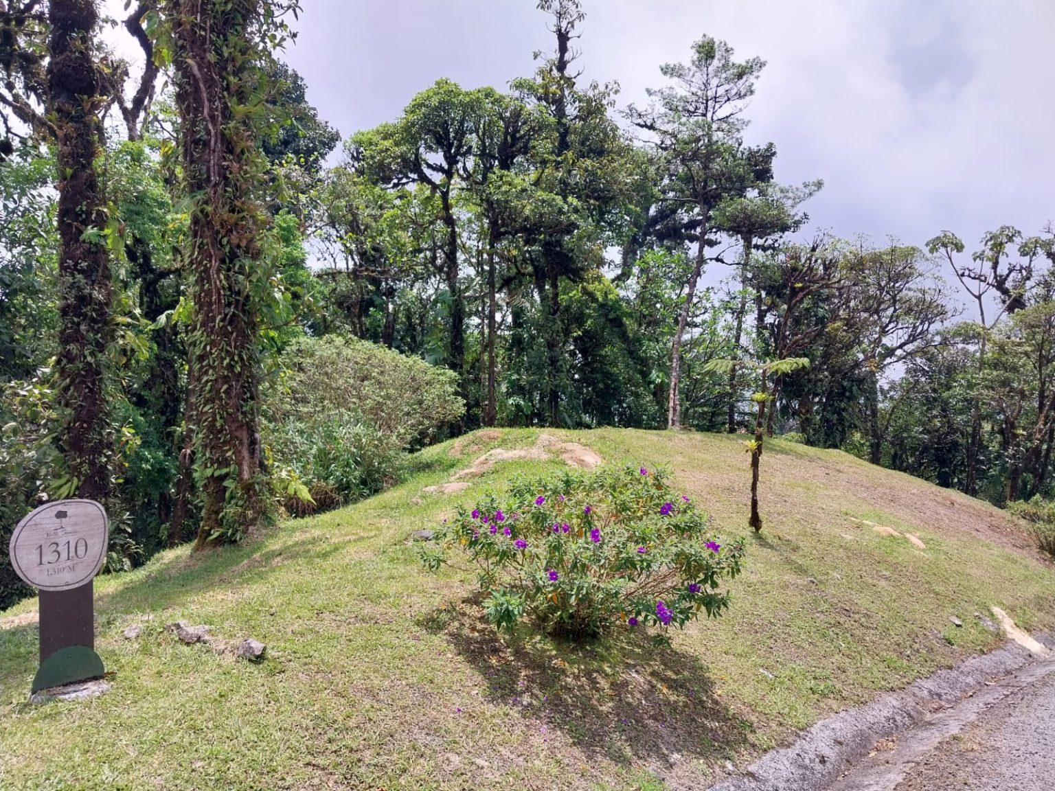 PROPIEDADES - Altos del maria